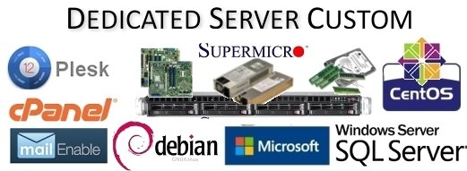 Custom Server with a choice of Memory, HDD, and the IP